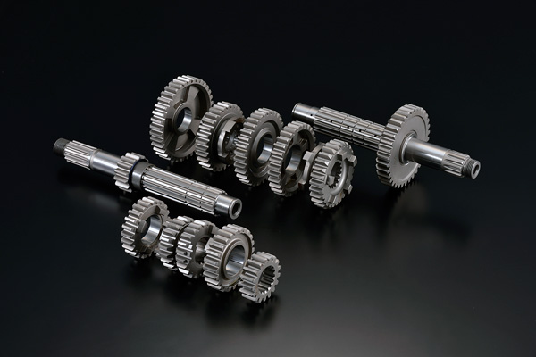 Bulldock 6 Speed Transmission ( Z1 ) - Apexmoto Inc